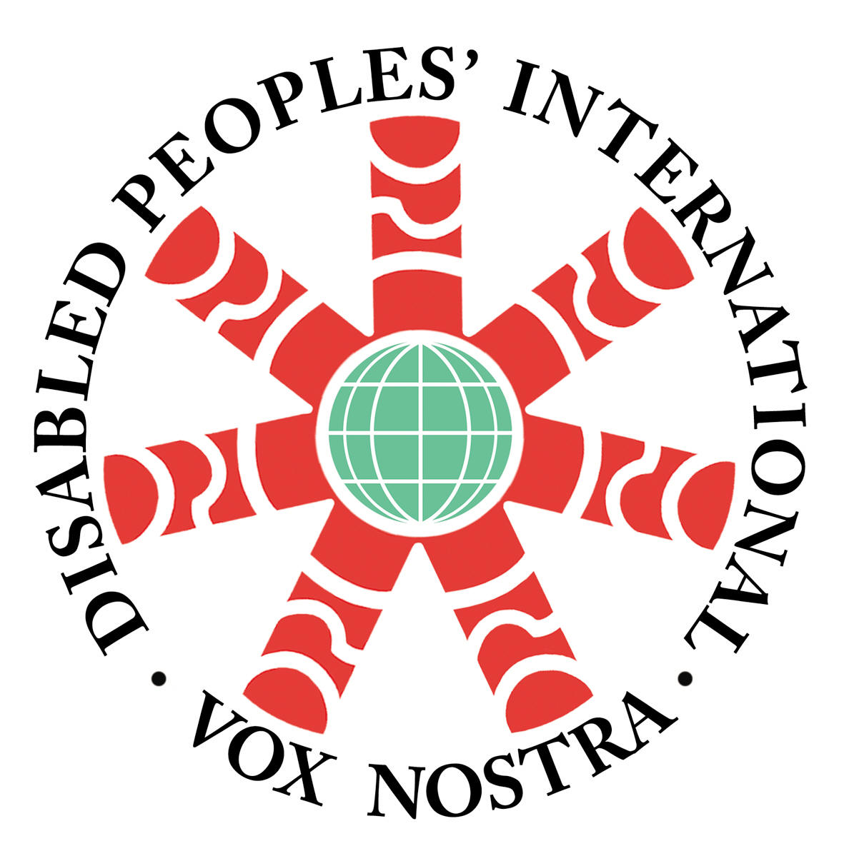 Networks – United States International Council on Disabilities