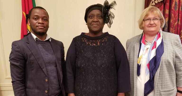 Representation – United States International Council on Disabilities